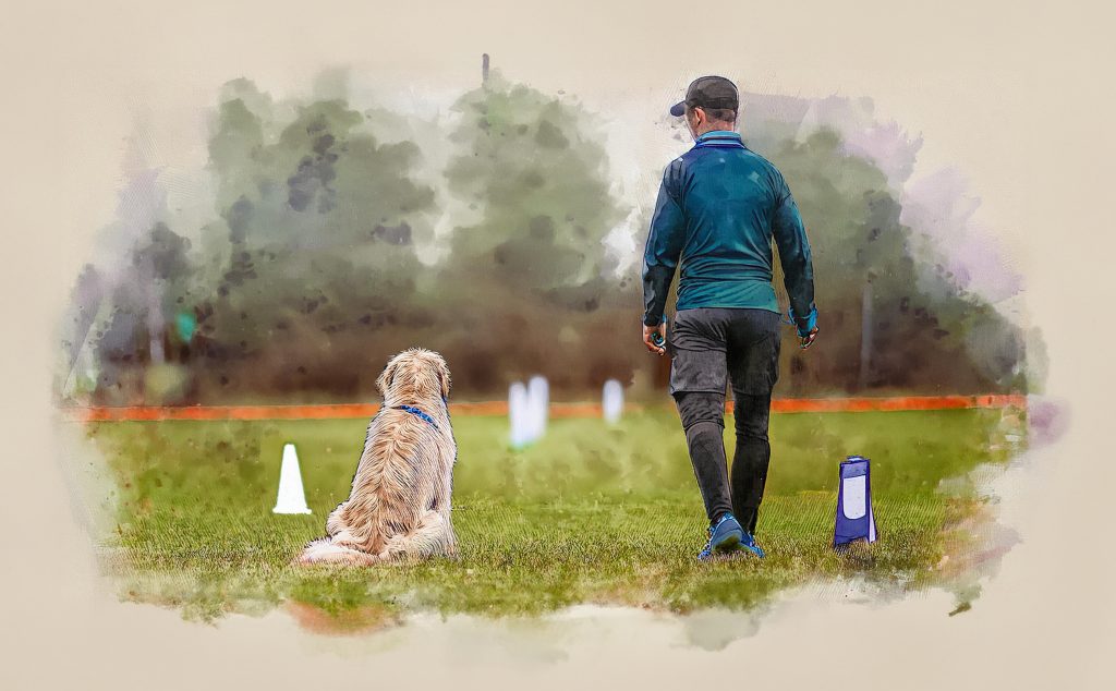 Rally Obedience - Pasja šola CorCanis